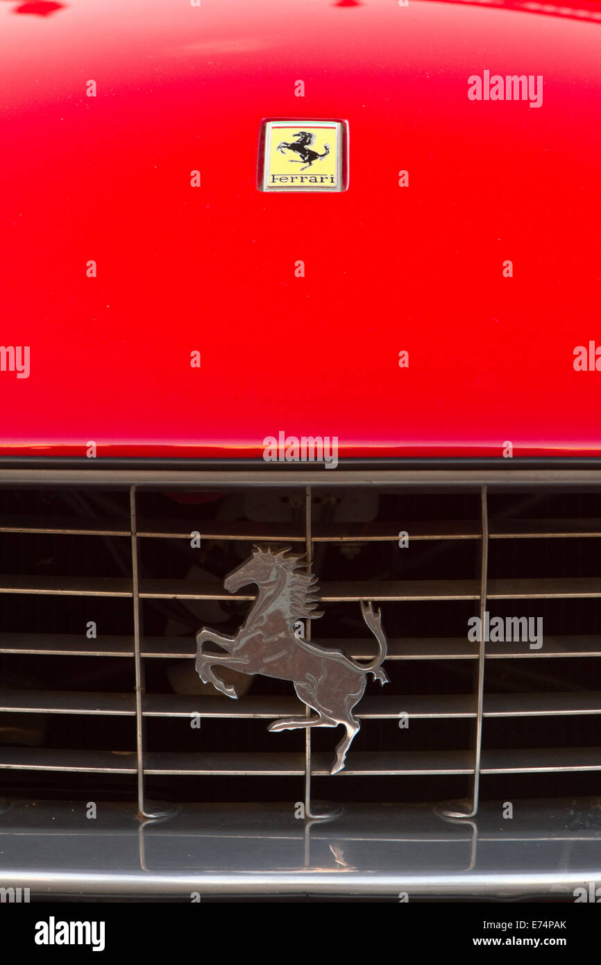 Torino, Italy. 6th September 2014.Radiator grille and logo on a on a ...
