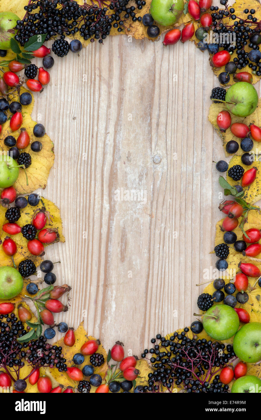 Foraged woodland fruit hi-res stock photography and images - Alamy