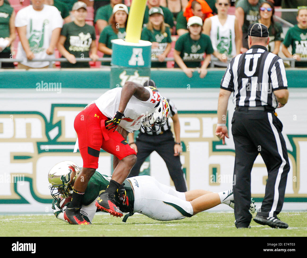 City, Florida, US. 6th Sep, 2014.South Florida Bulls linebacker Auggie ...