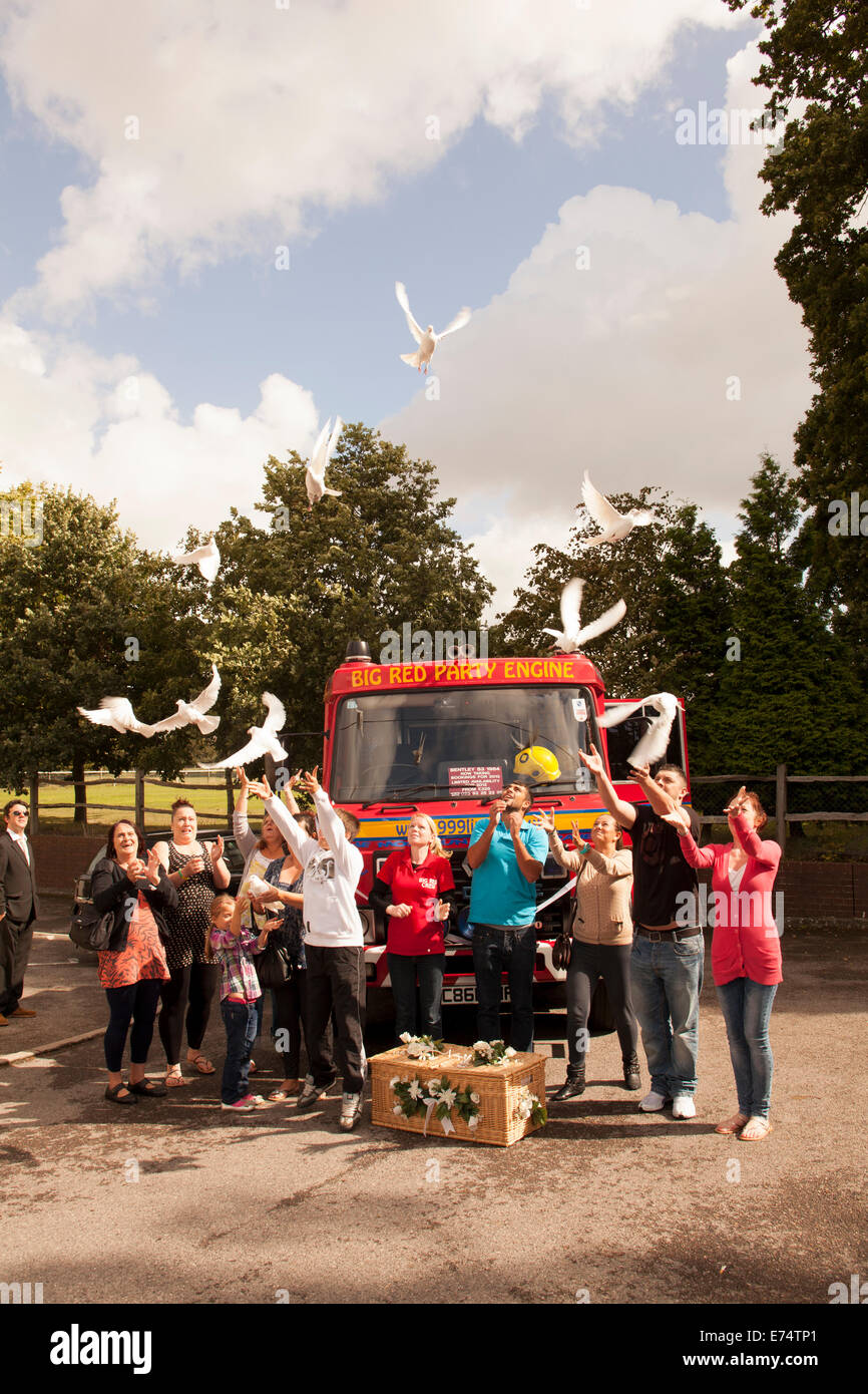 Fire Dove High Resolution Stock Photography and Images - Alamy