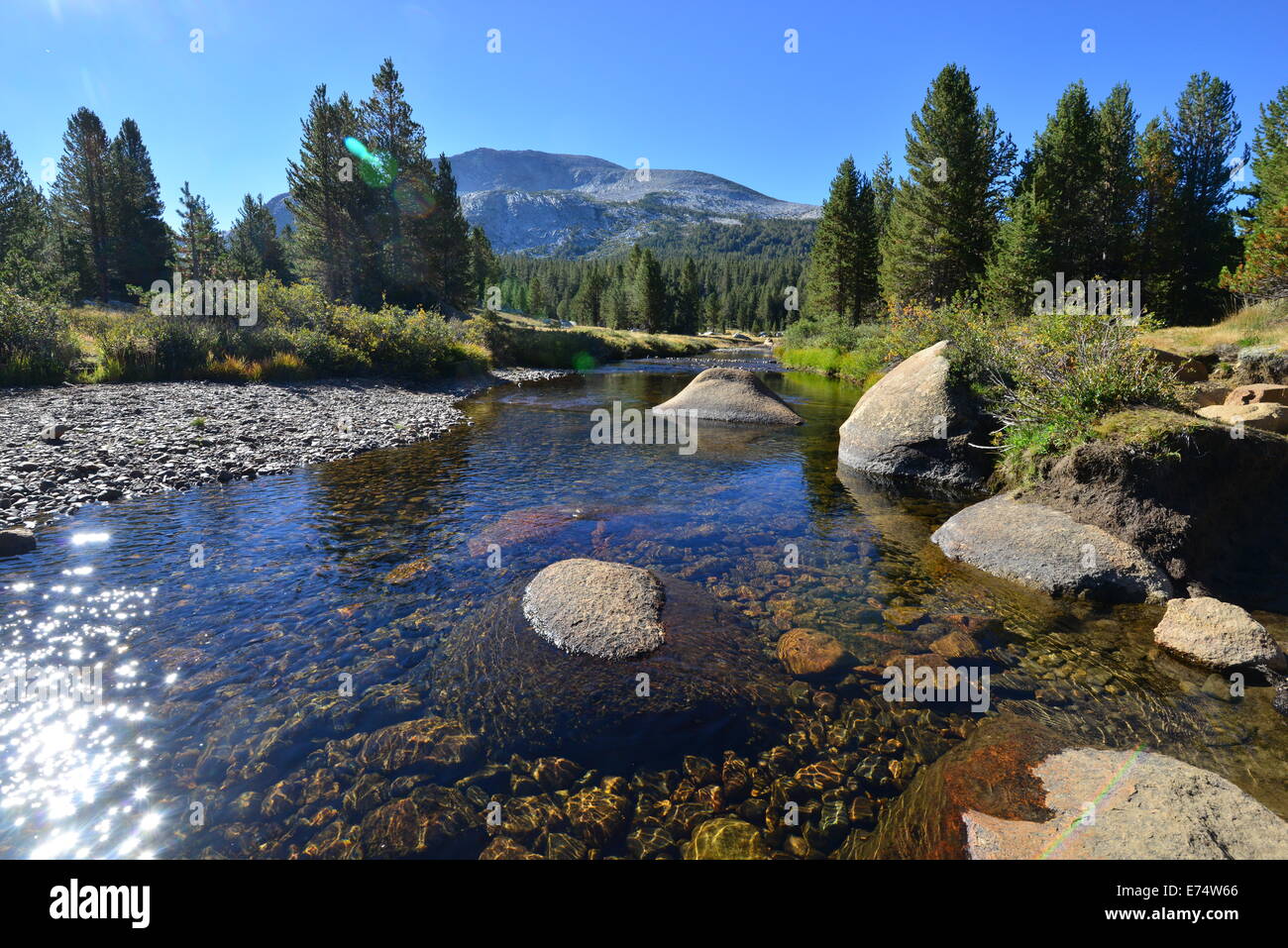 Grey rock coloured pebbles stones hi-res stock photography and images ...