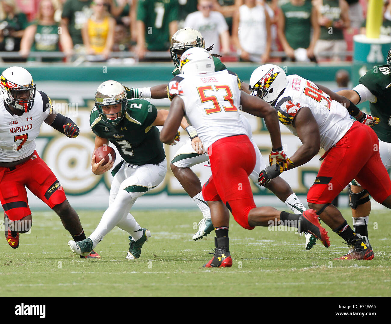 City, Florida, US. 6th Sep, 2014.South Florida Bulls quarterback Steven ...