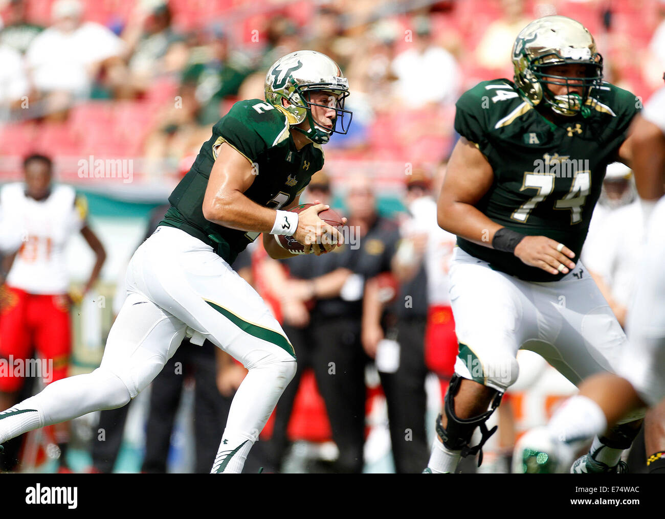 City, Florida, US. 6th Sep, 2014.South Florida Bulls quarterback Steven ...