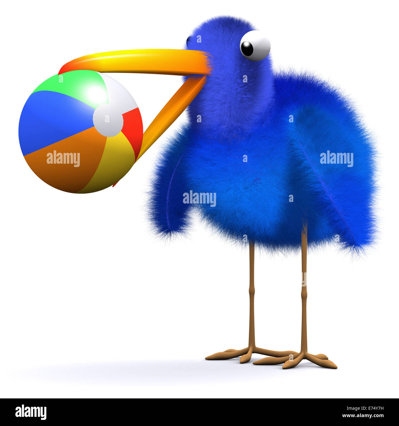 Bluebird beach hi-res stock photography and images - Alamy