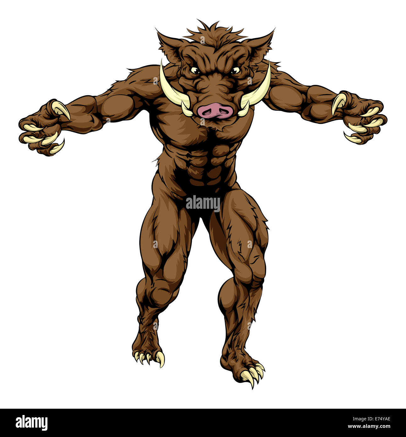 Drawing of an imposing boar sports character mascot standing Stock ...