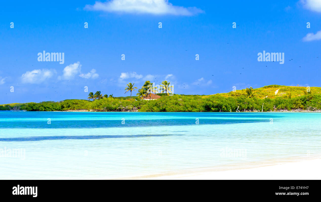 Playa contoy mexico hi-res stock photography and images - Alamy