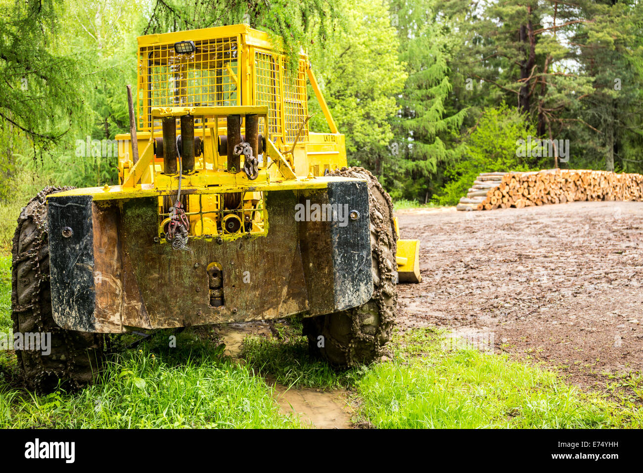 Bulldozer clearing trees hi-res stock photography and images - Alamy