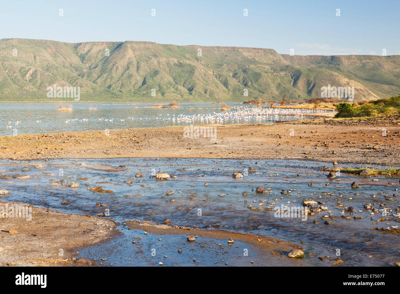 Hot springs at Lake Bogoria in Kenya with flamingos in the background ...