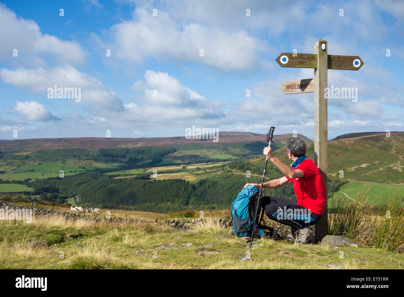 Walker on The Cleveland Way National Trail overlooking Bilsdale from ...