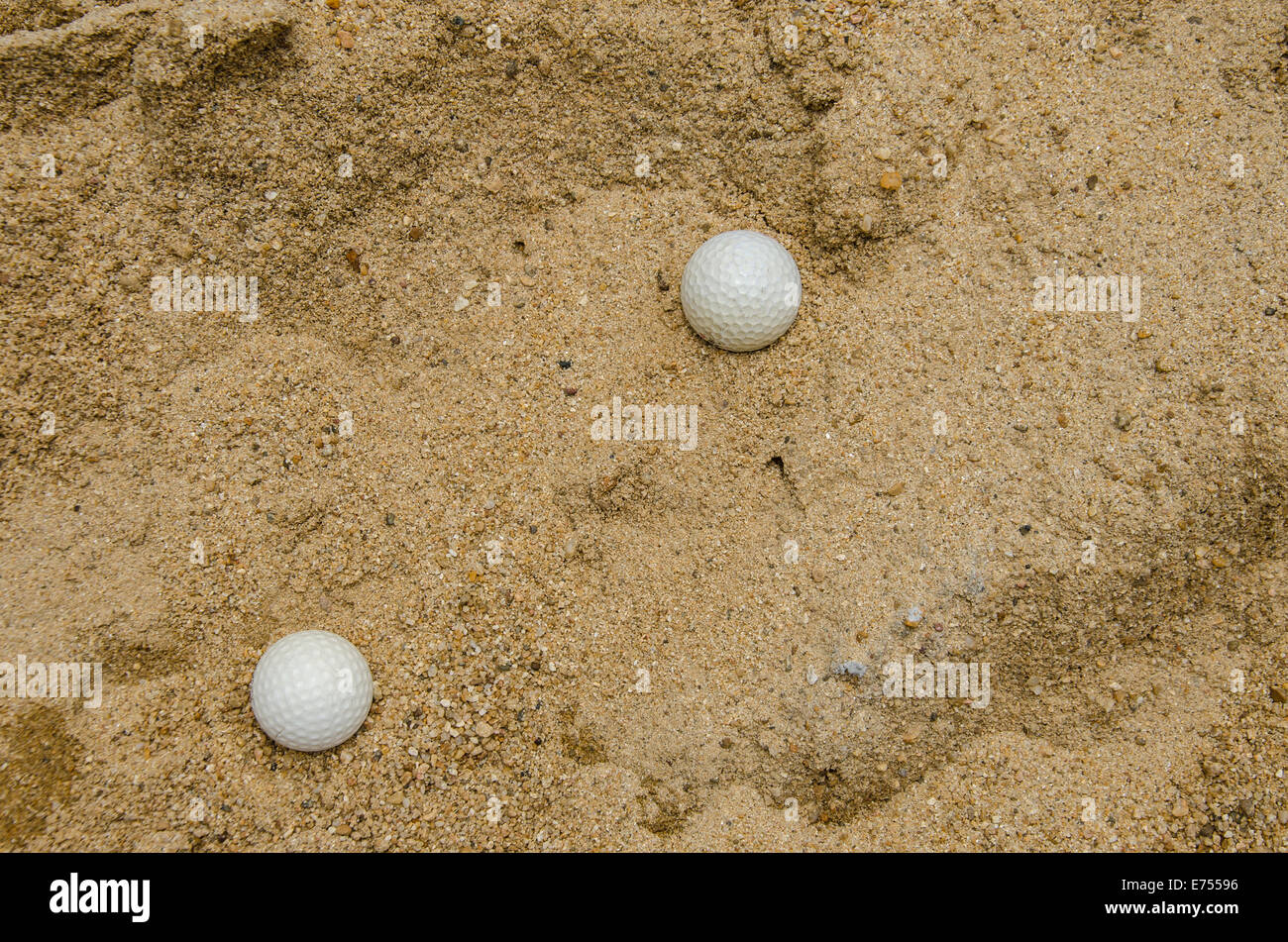 white golf ball on the tree Stock Photo - Alamy
