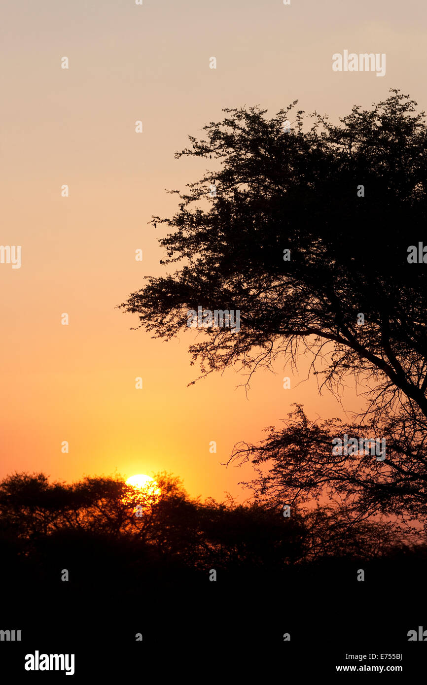 African sunsets landscapes hi-res stock photography and images - Alamy