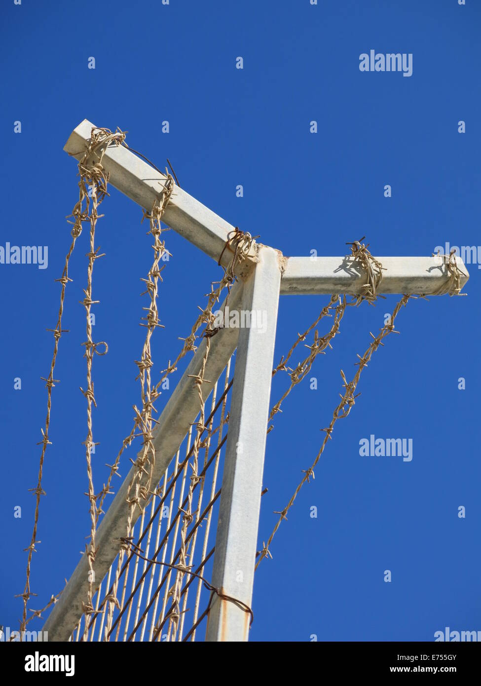 Y-shaped barbed wire fence Stock Photo - Alamy