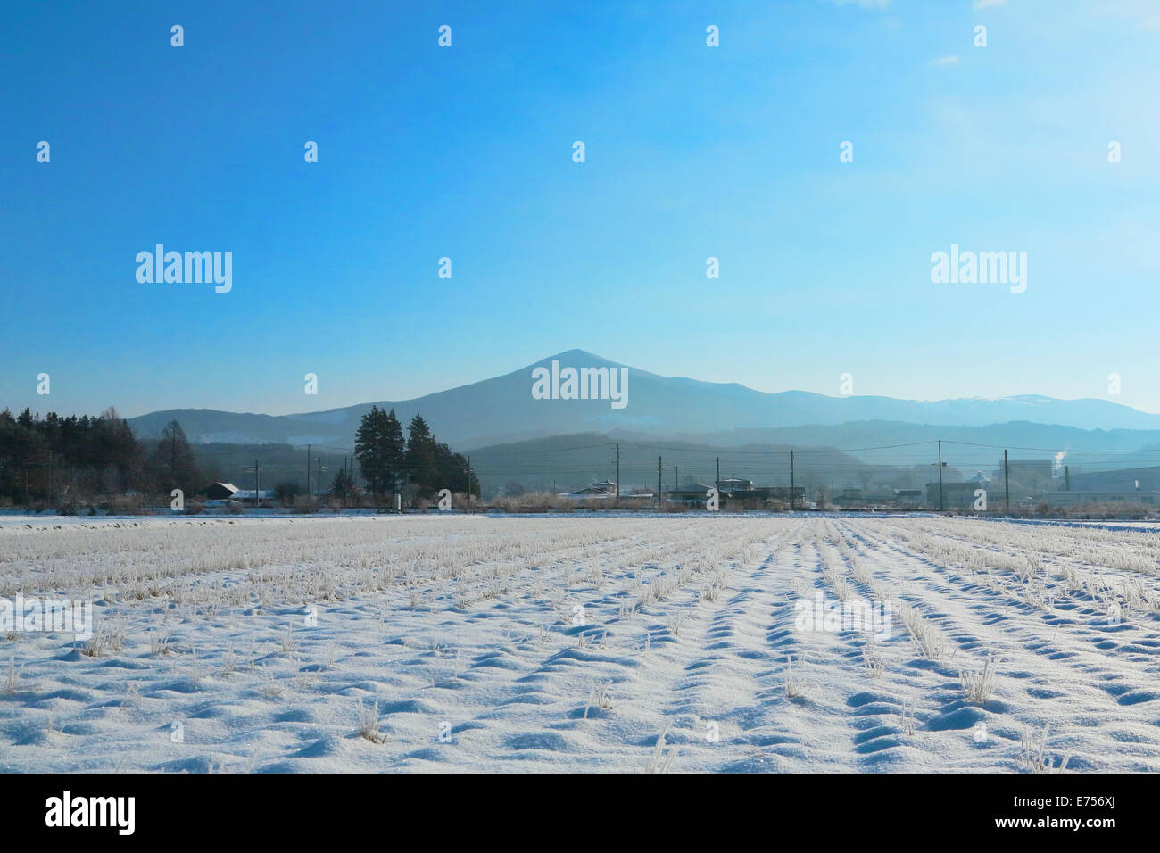 snow field and Mt.Himekami against blue sky Stock Photo - Alamy