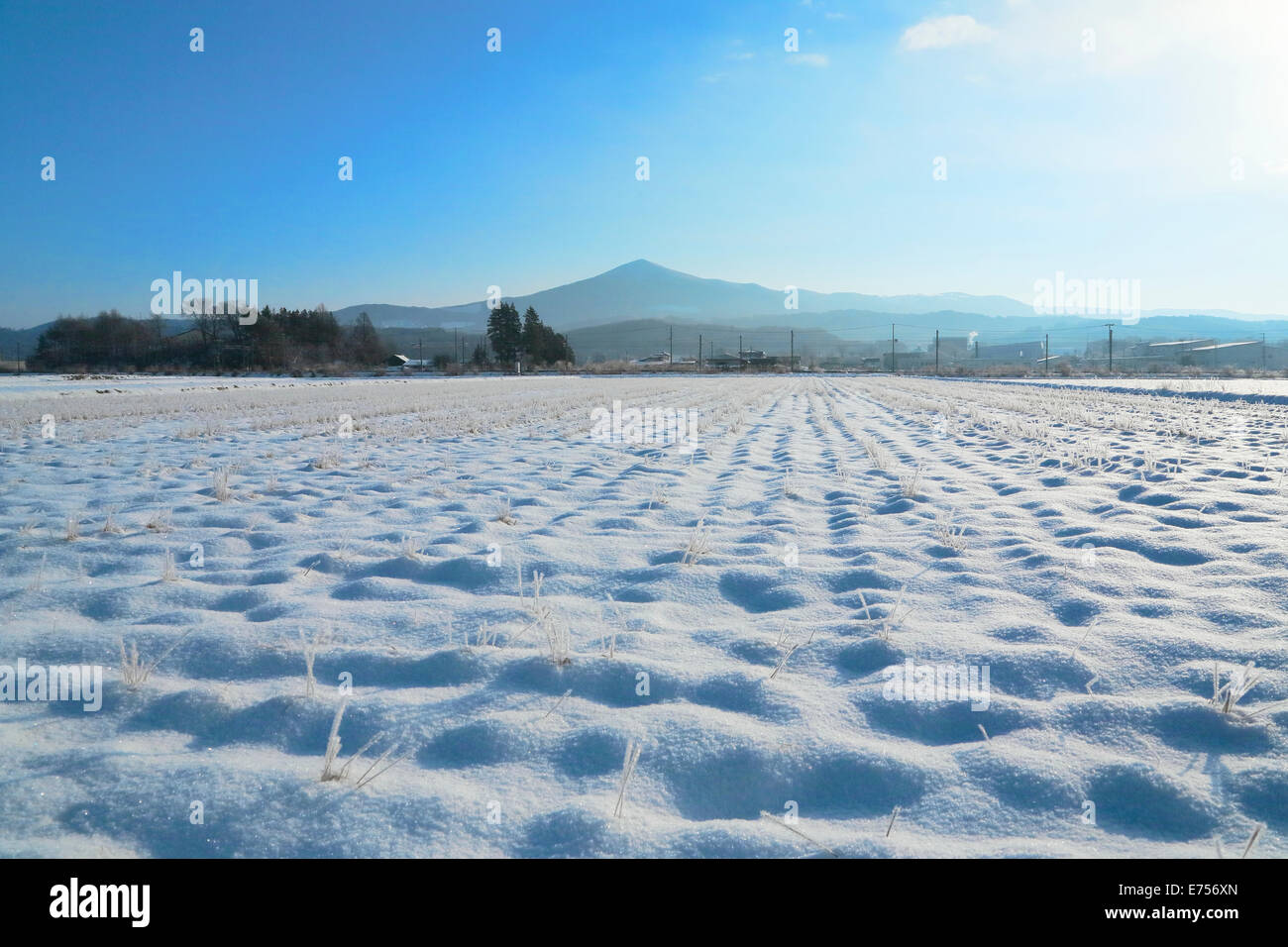 snow field and Mt.Himekami against blue sky Stock Photo - Alamy