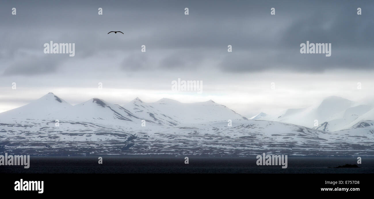 Bird In Stormy Weather High Resolution Stock Photography and Images - Alamy