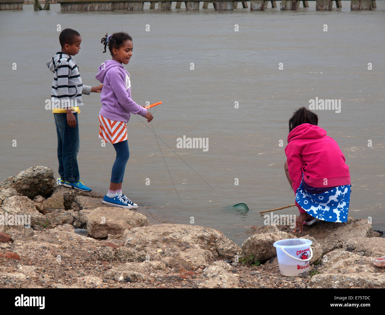 Children catching crabs hi-res stock photography and images - Alamy