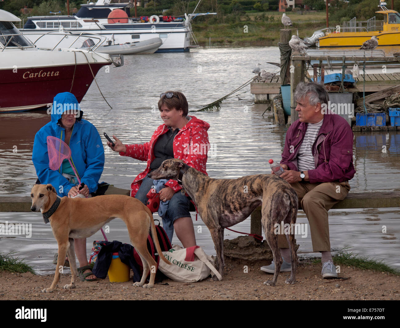 Harbour at mouth of river blyth hi-res stock photography and images - Alamy