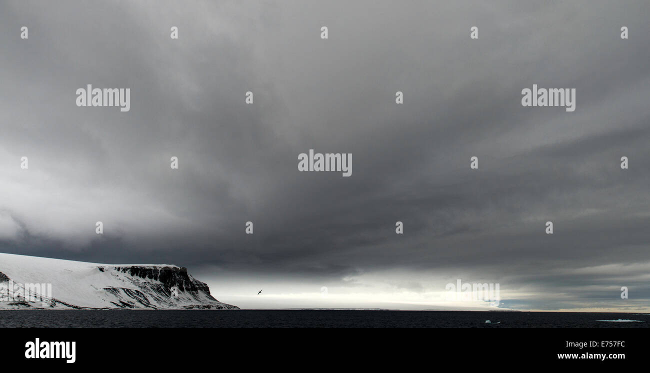 Bird In Stormy Weather High Resolution Stock Photography and Images - Alamy