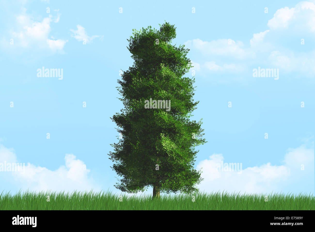Single tree on cloudy background in summer Stock Photo - Alamy