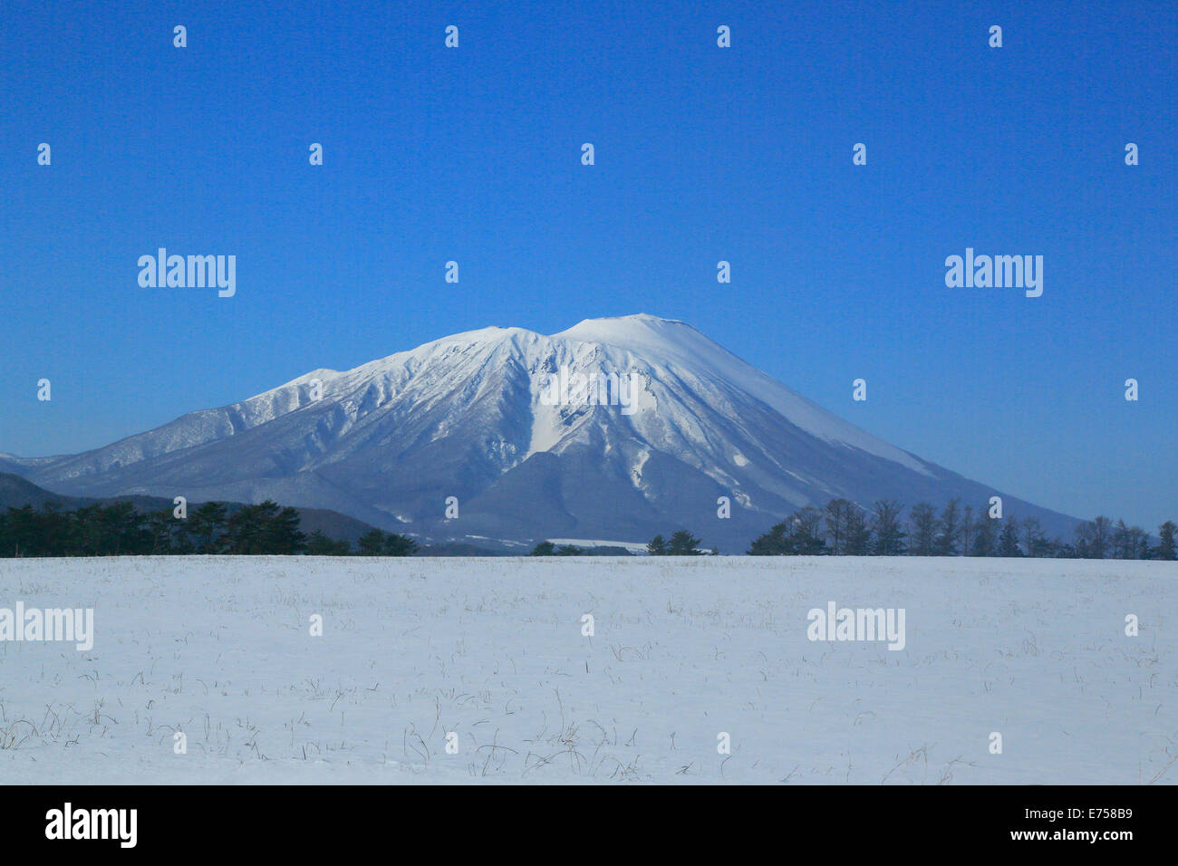 snow field and Mt.Iwate against blue sky Stock Photo - Alamy