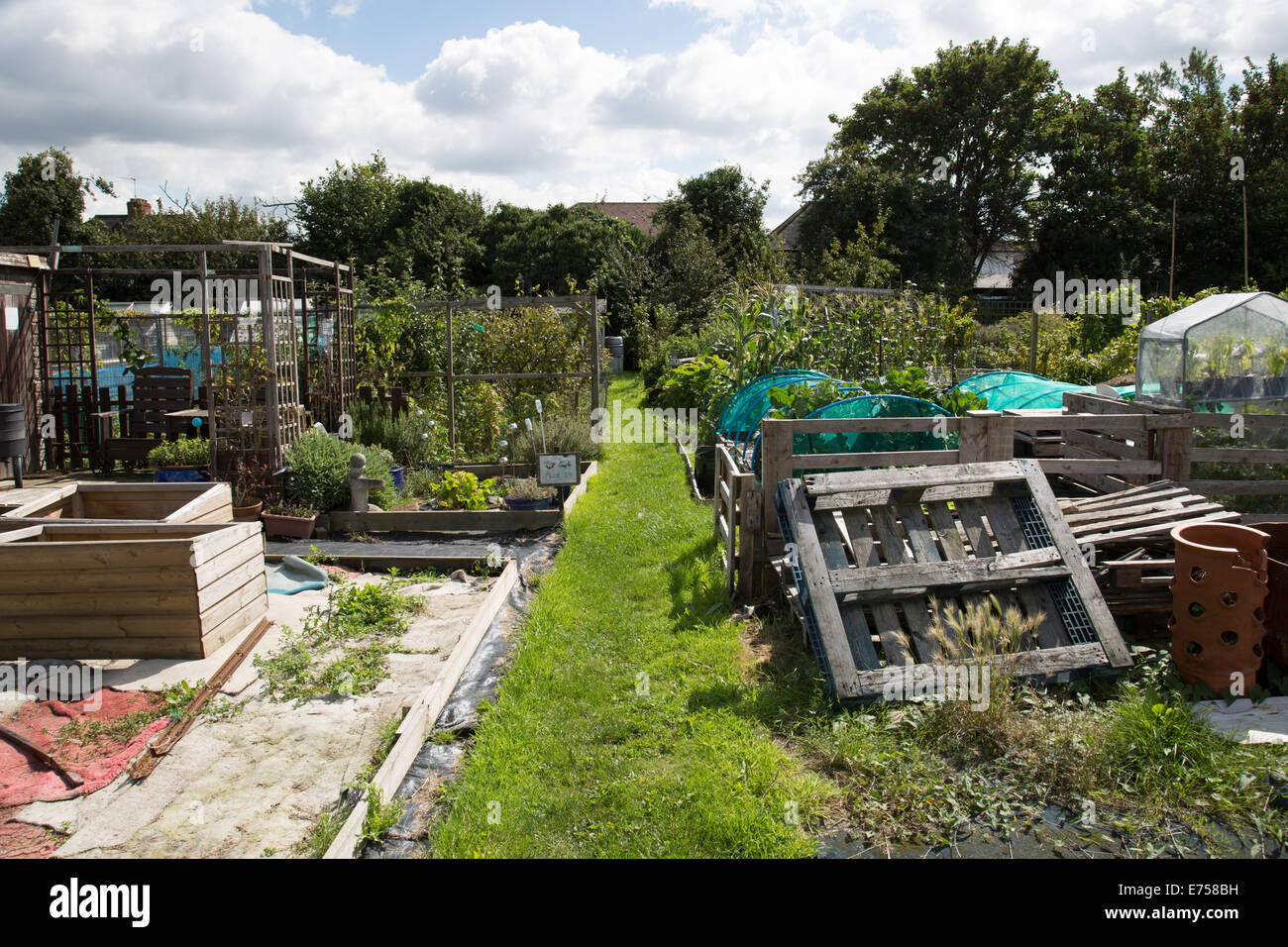 Grow vegetables for the community hi-res stock photography and images ...
