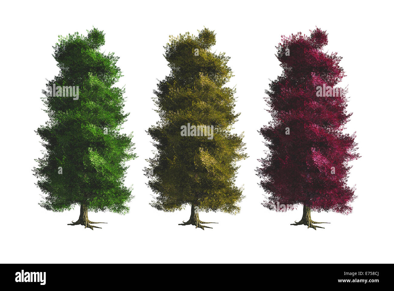 Variations of plant life hi-res stock photography and images - Alamy