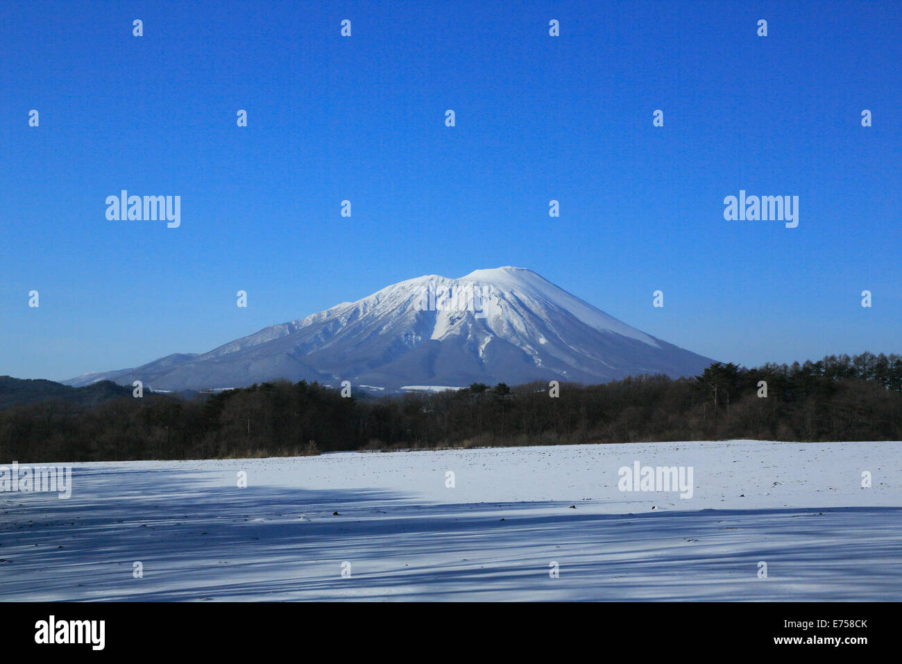 snow field and Mt.Iwate against blue sky Stock Photo - Alamy