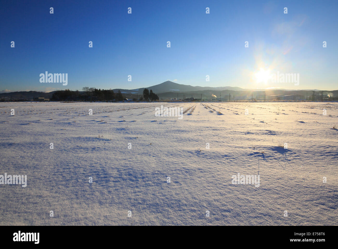 snow field and Mt.Himekami against blue sky Stock Photo - Alamy