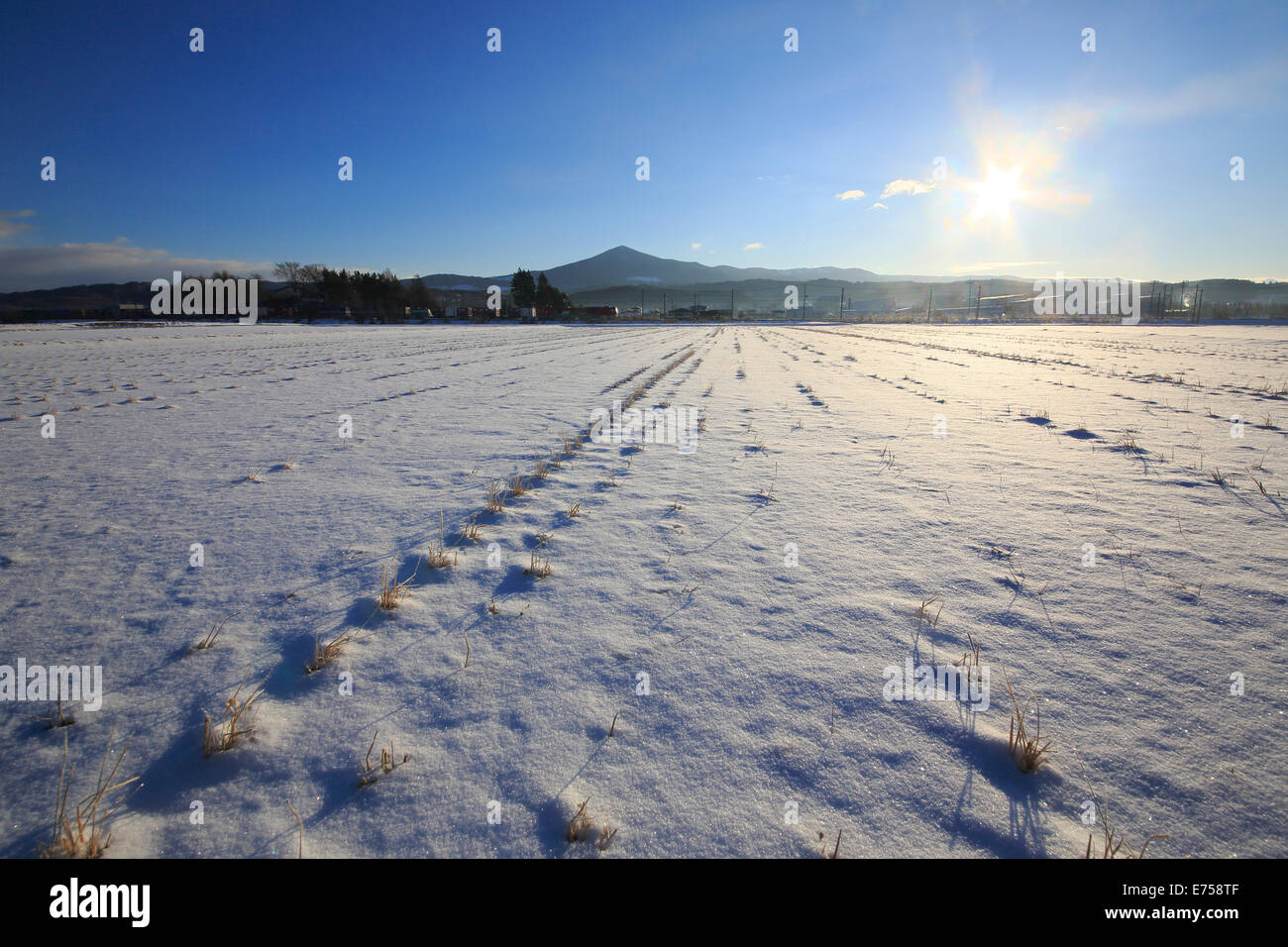 snow field and Mt.Himekami against blue sky Stock Photo - Alamy