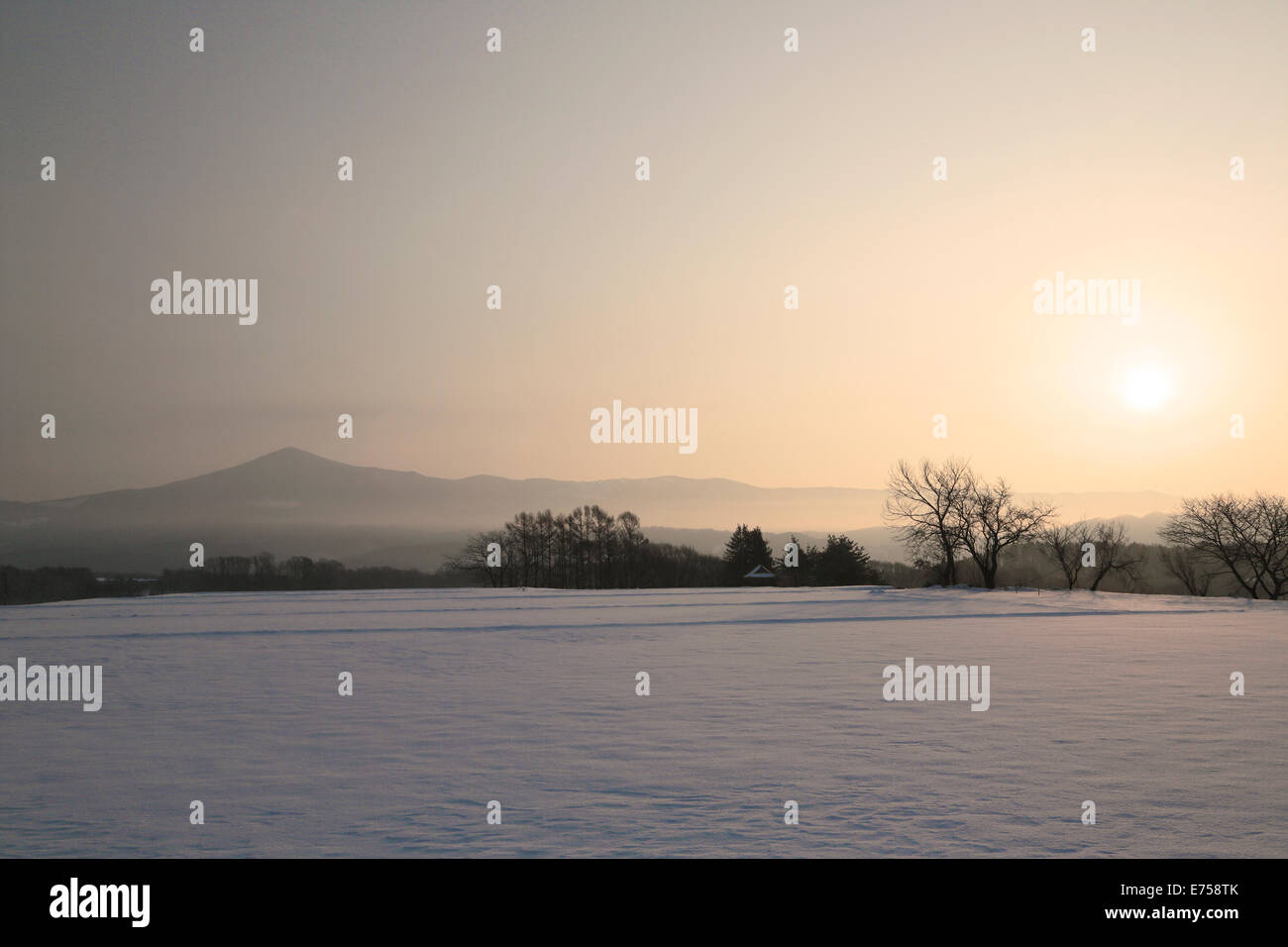 snow field and Mt.Himekami in Iwate Stock Photo - Alamy