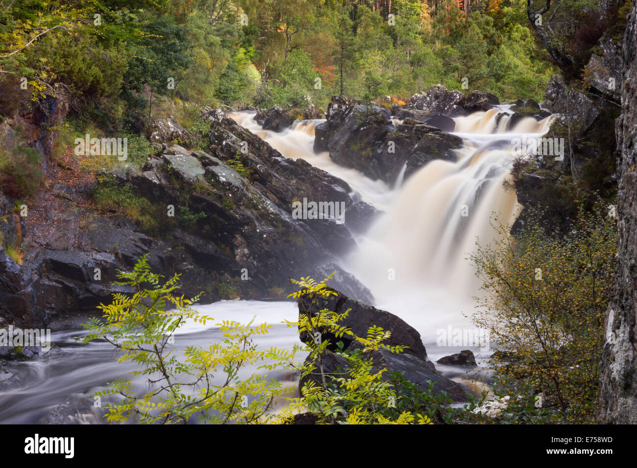 Rogie Falls near Dingwall in Autumn Stock Photo - Alamy