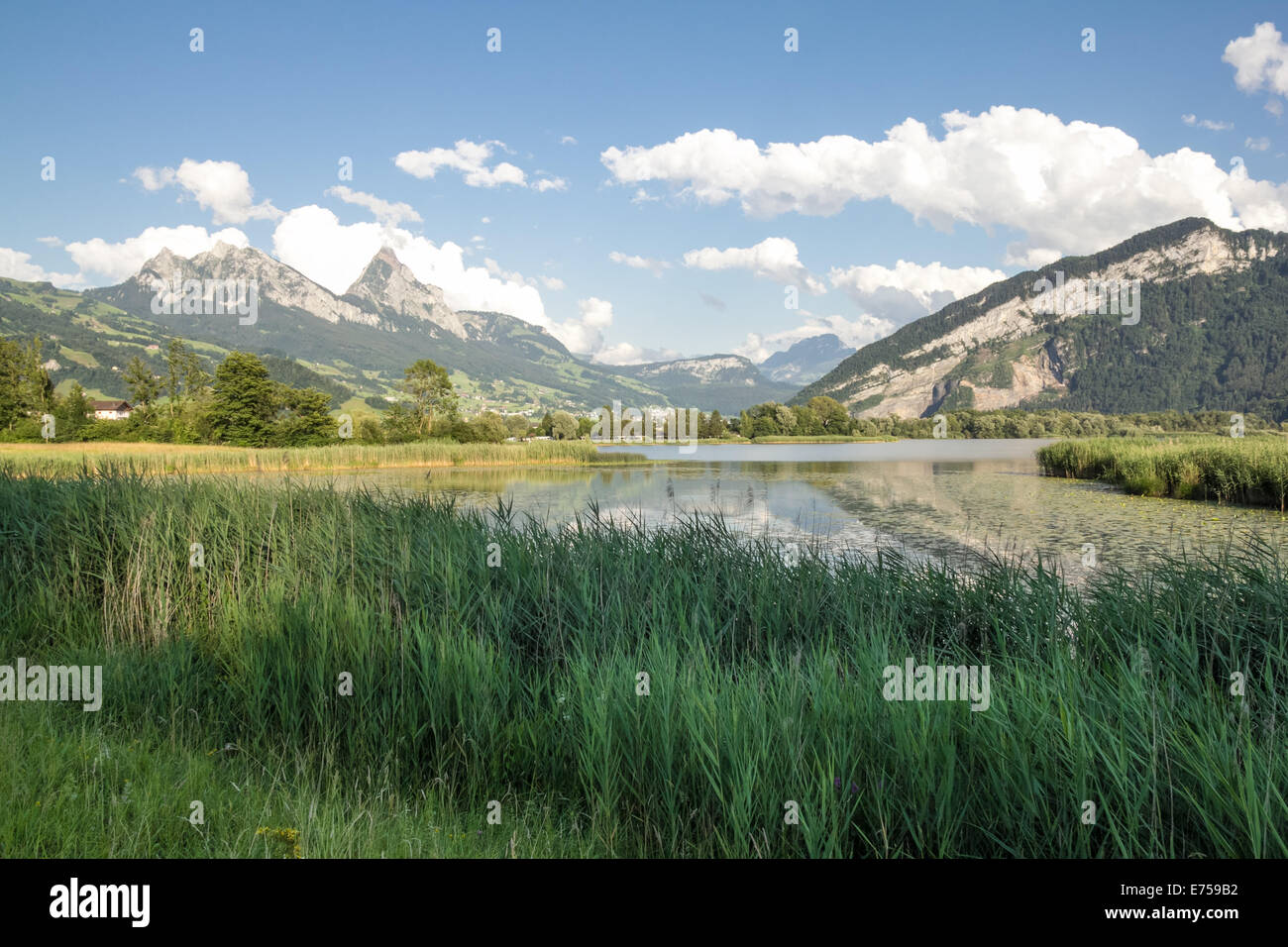 Summer in Swiss canton Schwyz Stock Photo - Alamy
