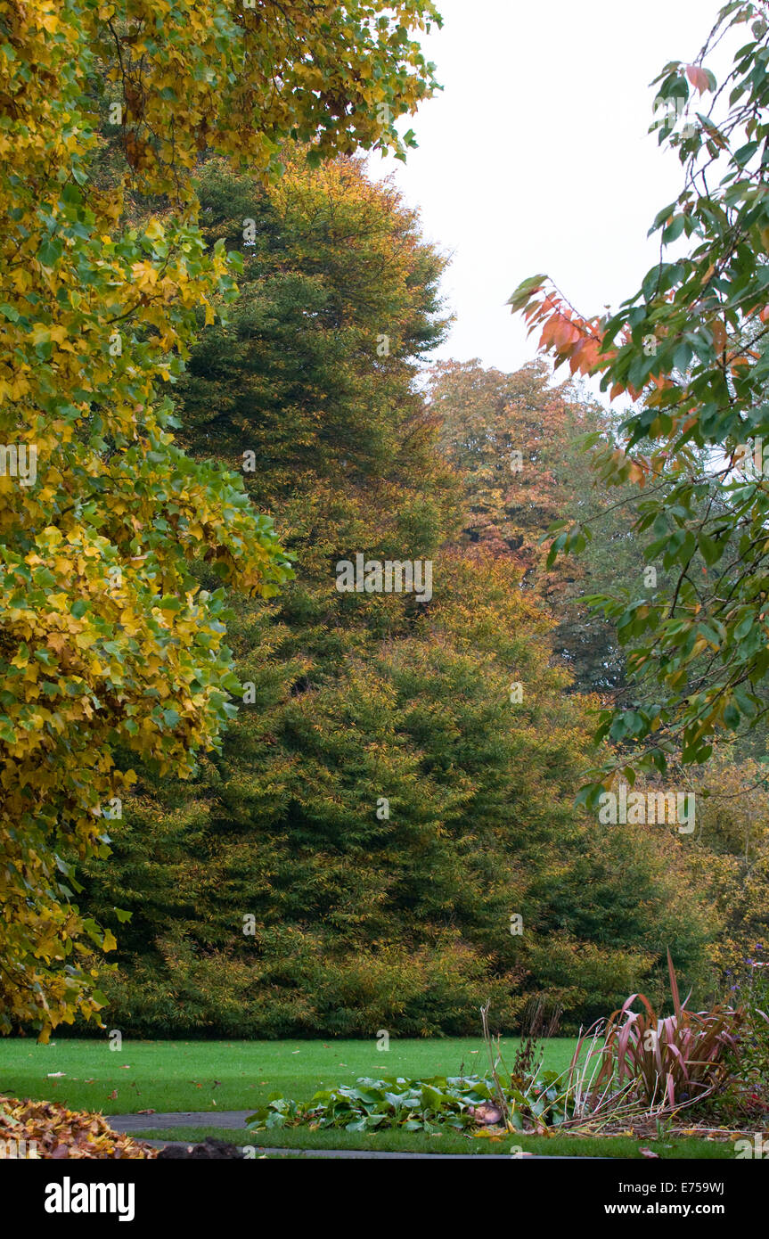 Bath botanical gardens hi-res stock photography and images - Alamy