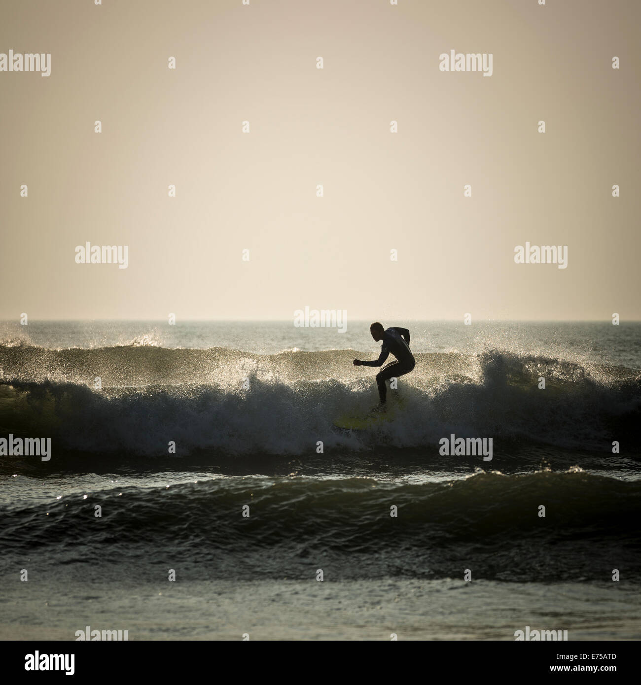Surfer riding wave Stock Photo - Alamy