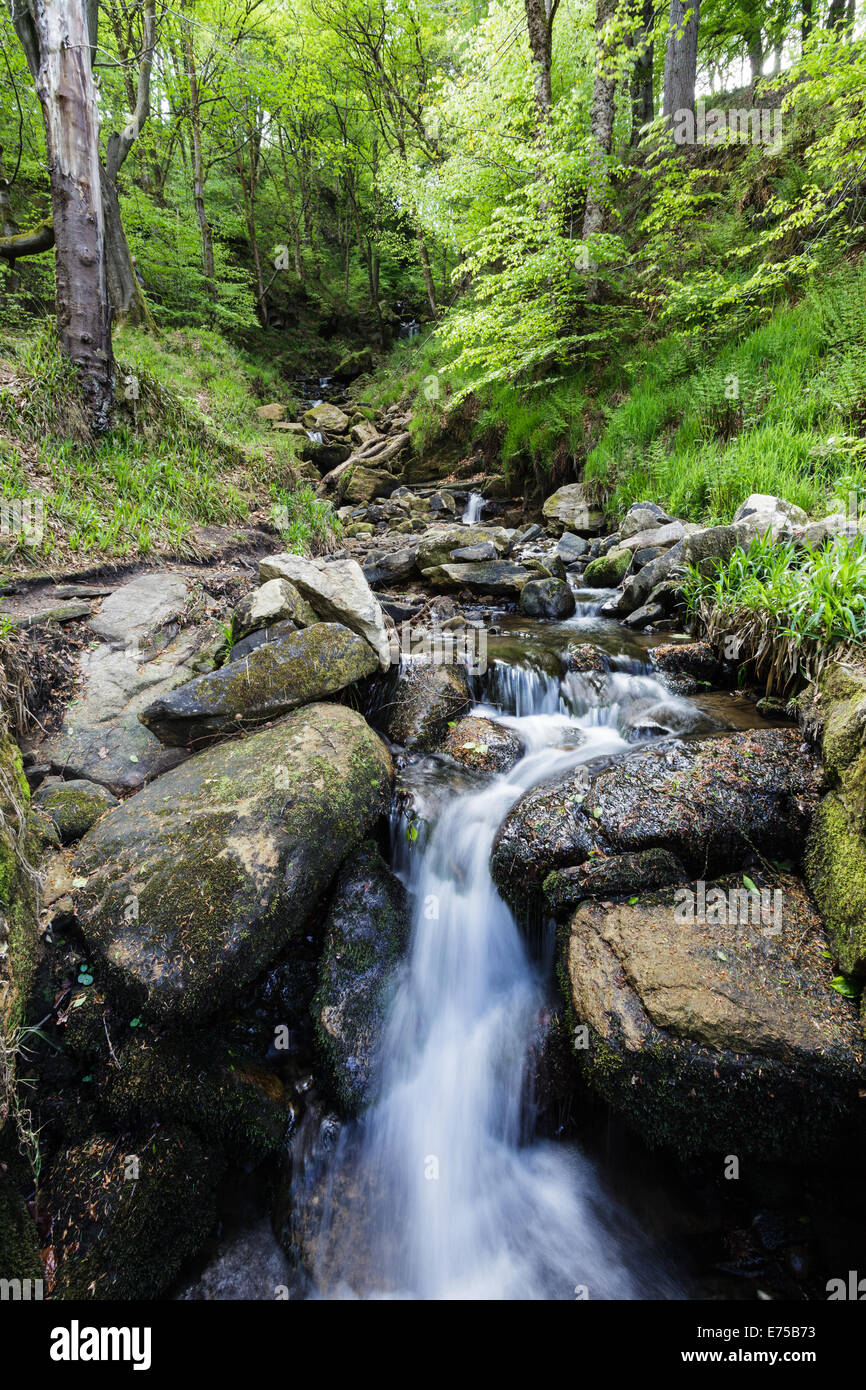 Small waterfall rocks and slow moving water under thick summer foliage ...