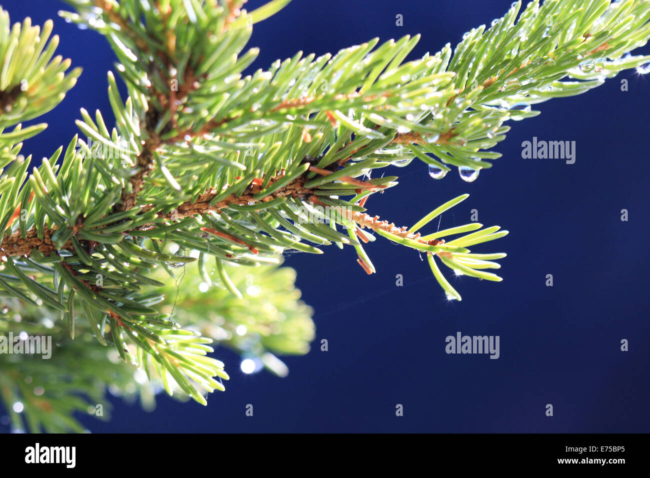 Green water navy hi-res stock photography and images - Alamy