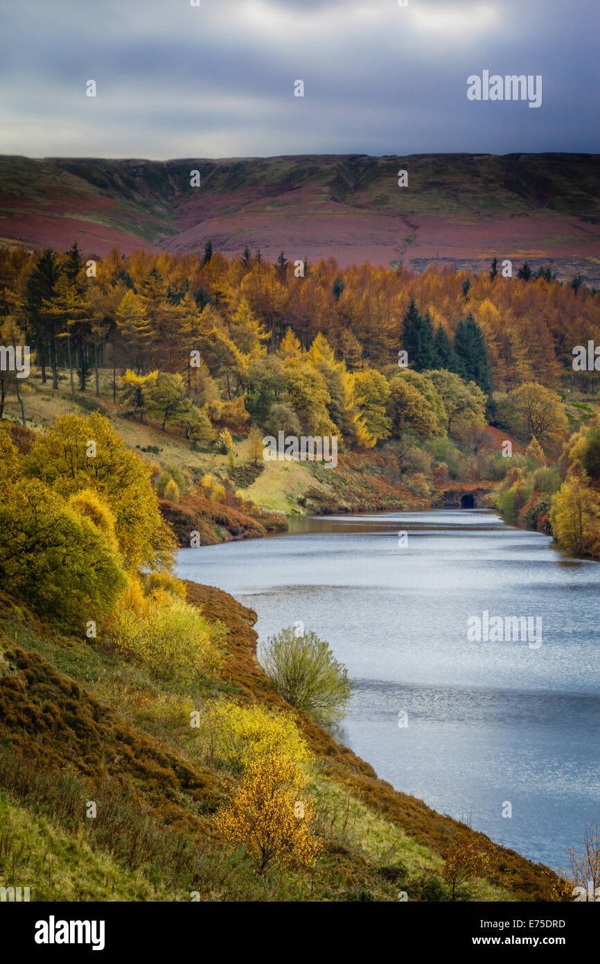 Yorkshire colours hi-res stock photography and images - Alamy