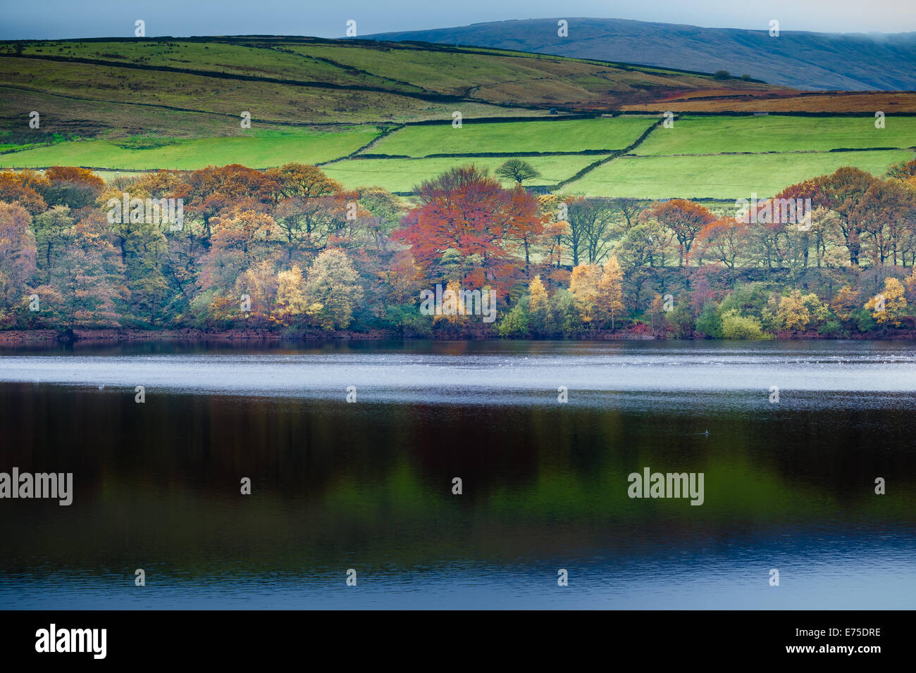 Yorkshire colours hi-res stock photography and images - Alamy