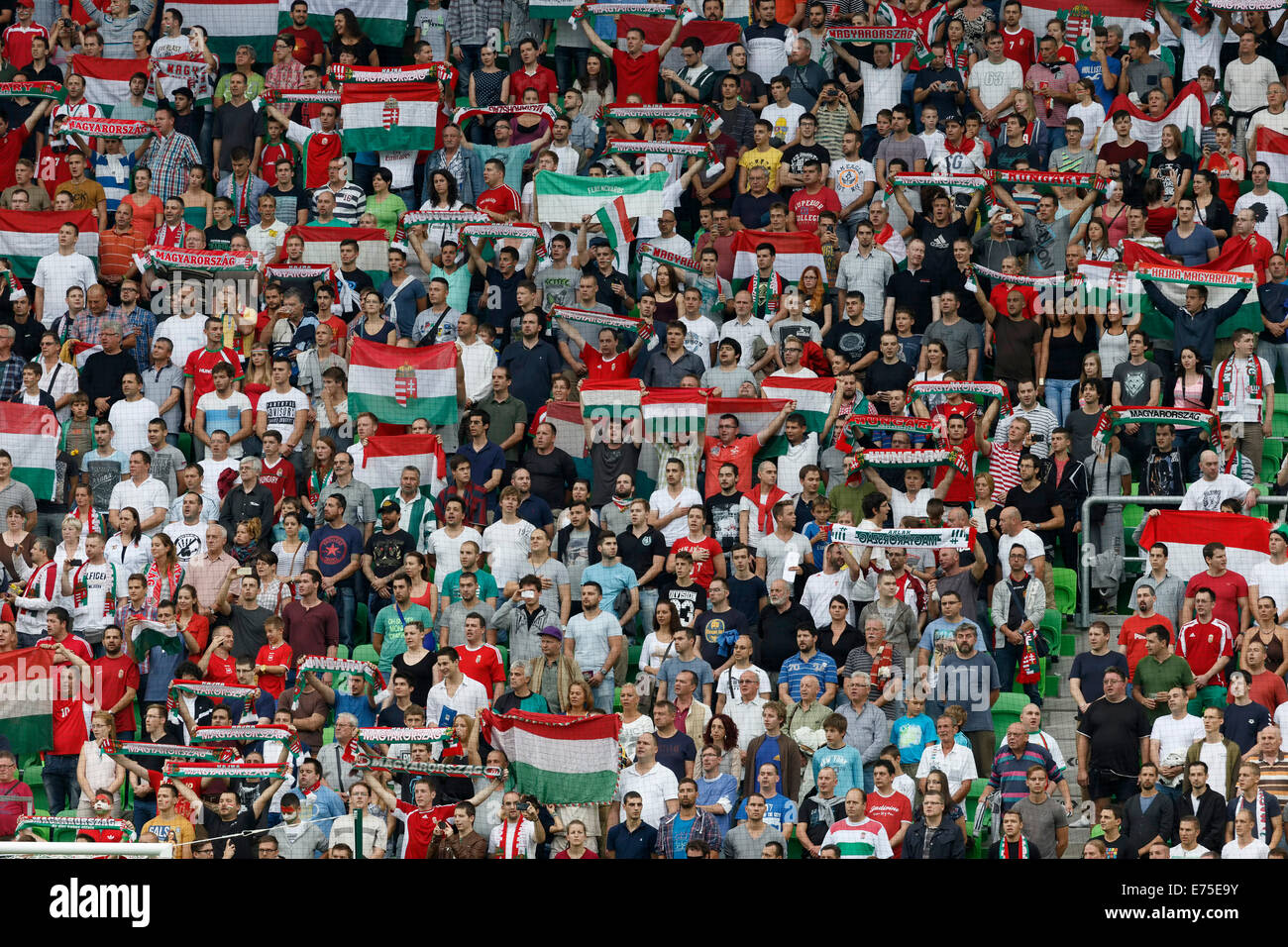 Northern ireland football fans hi-res stock photography and images - Alamy