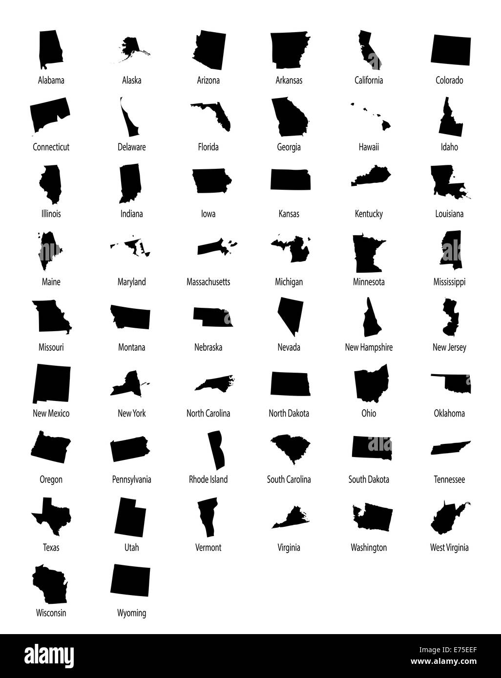 An Illustration of all 50 states of america on white background Stock ...