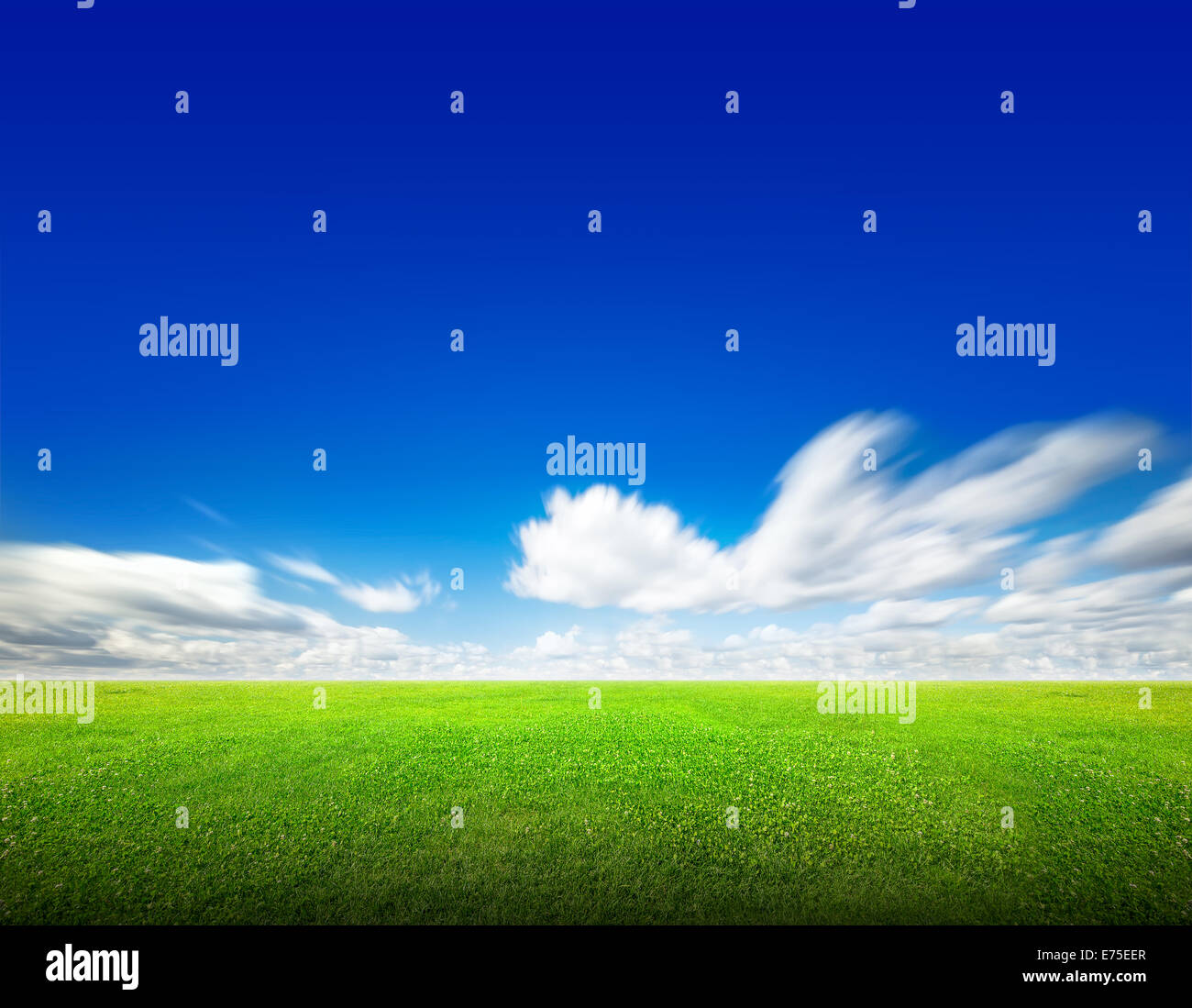 Field of green grass and beauttiful sky Stock Photo - Alamy