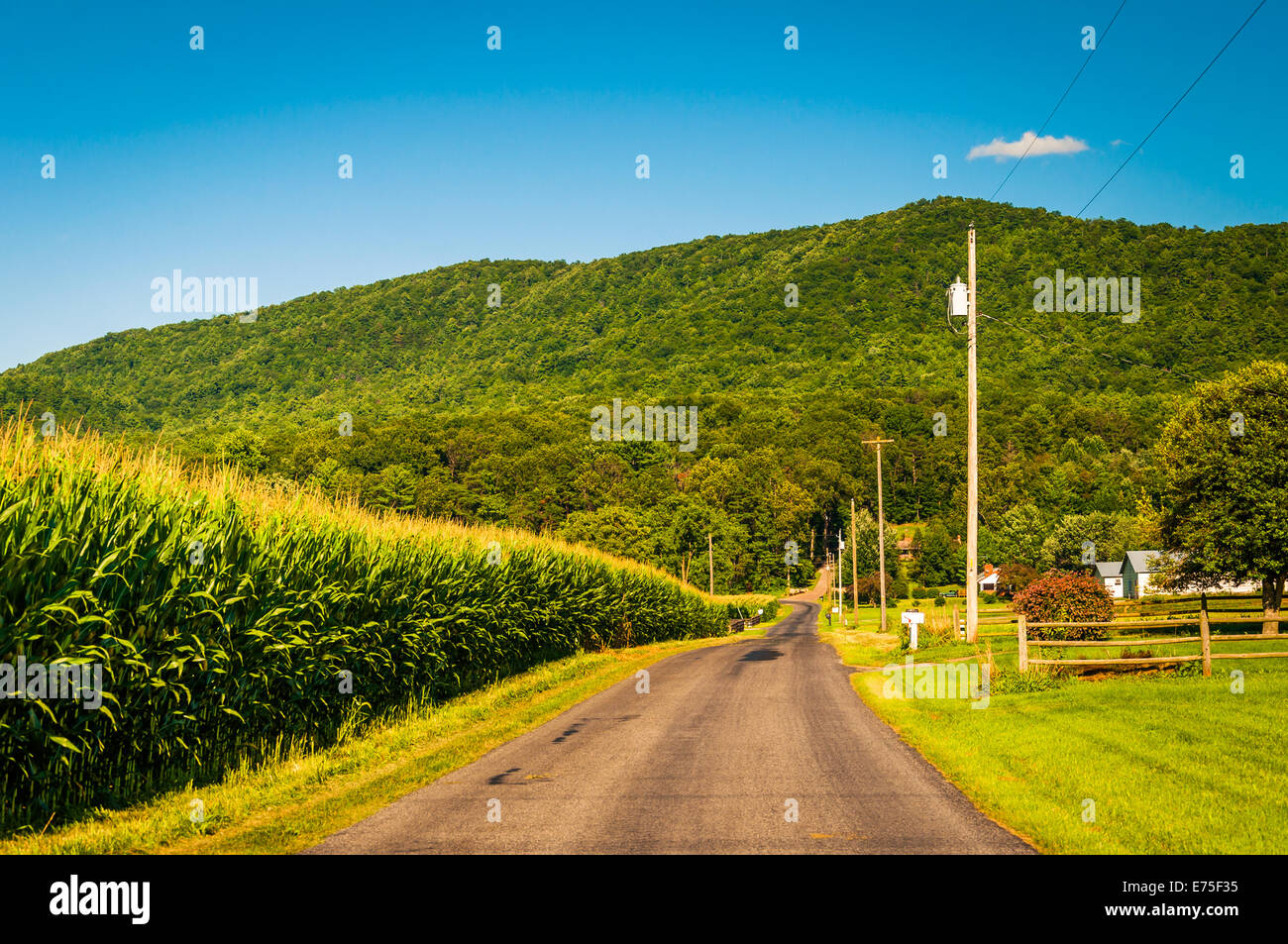 Blue ridge mountain road virginia hi-res stock photography and images ...