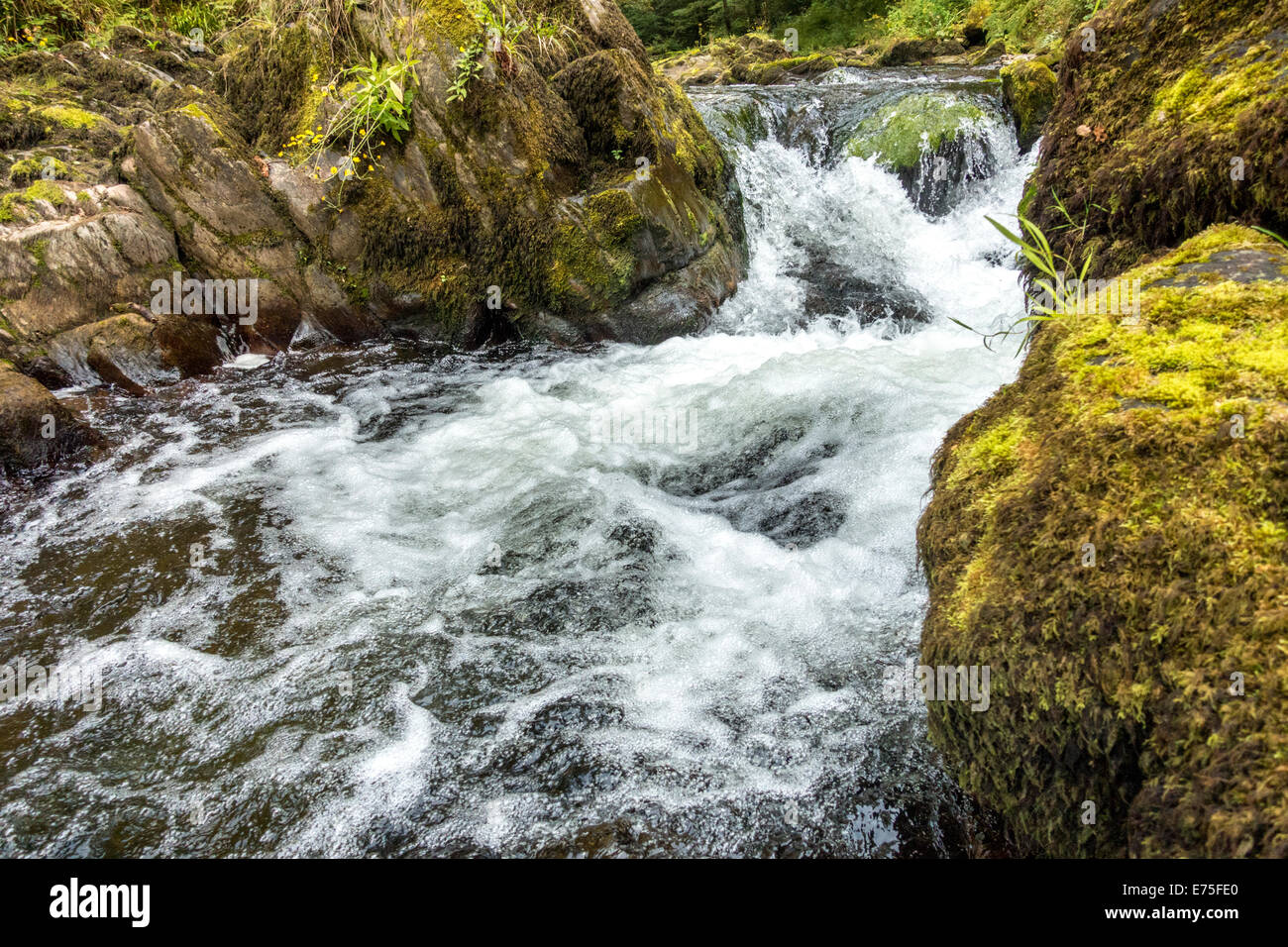 Watersmeet river gorge in North Devon UK Stock Photo - Alamy