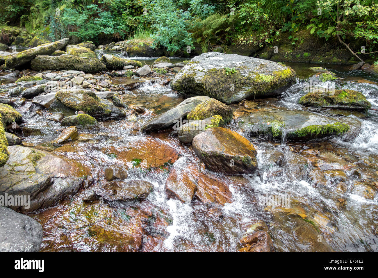 North devon river hi-res stock photography and images - Alamy