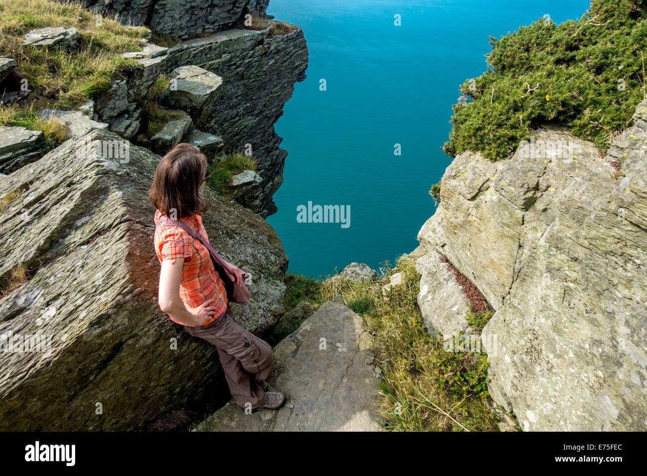 Valley of the Rocks lynton lynmouth North Devon Stock Photo - Alamy