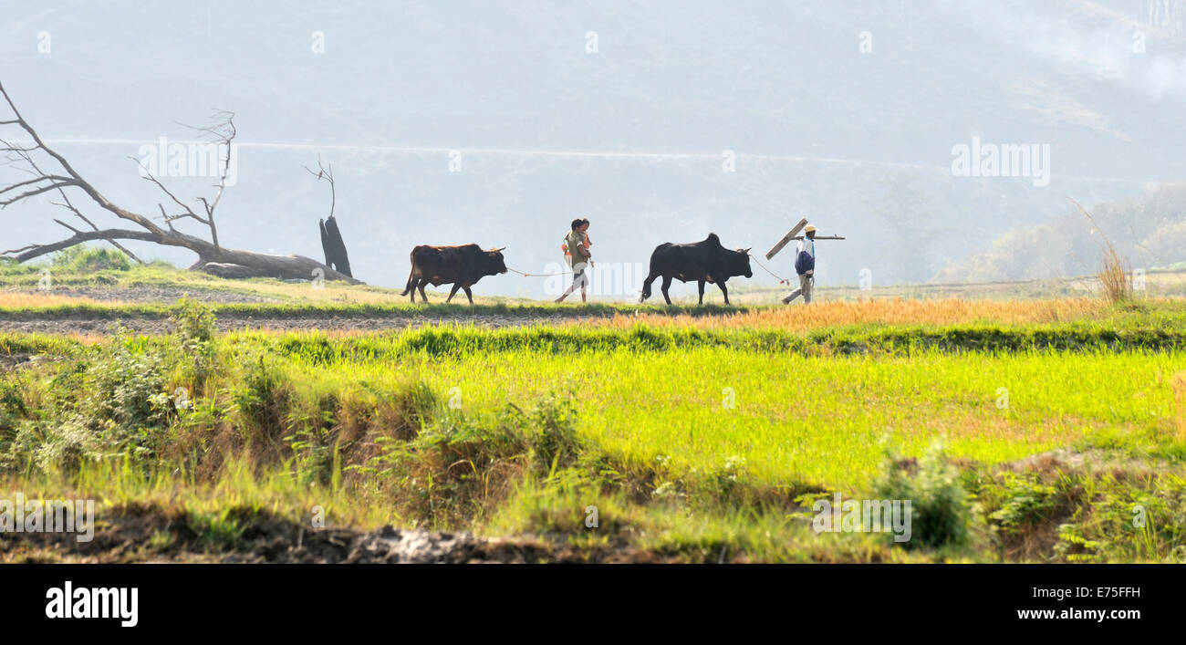 Daily life scene hi-res stock photography and images - Alamy