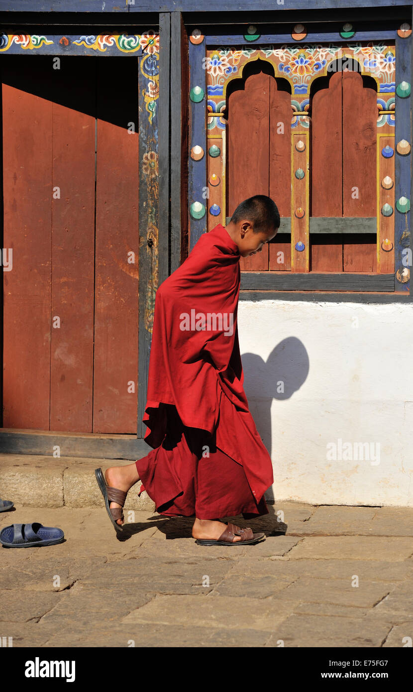 Novice monk, Chime Lhakhang temple dedicated to Lama Kunley, Punakha ...