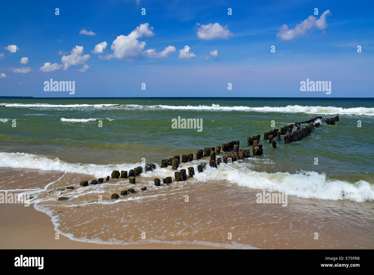 Beautiful Baltic beach in Sunny summer's day Stock Photo - Alamy