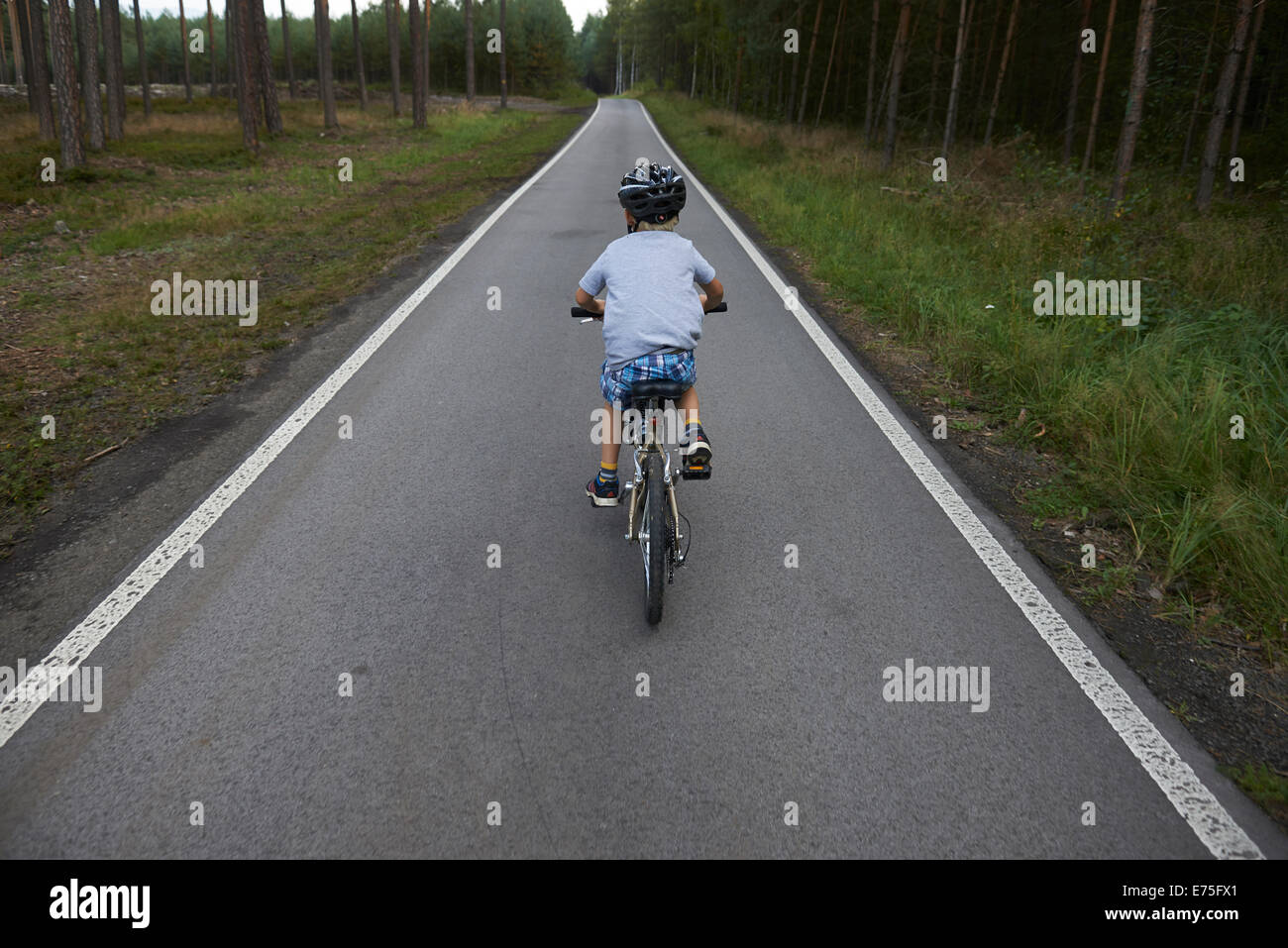Boy cycling through forest on bicycle path, view from behind Stock ...