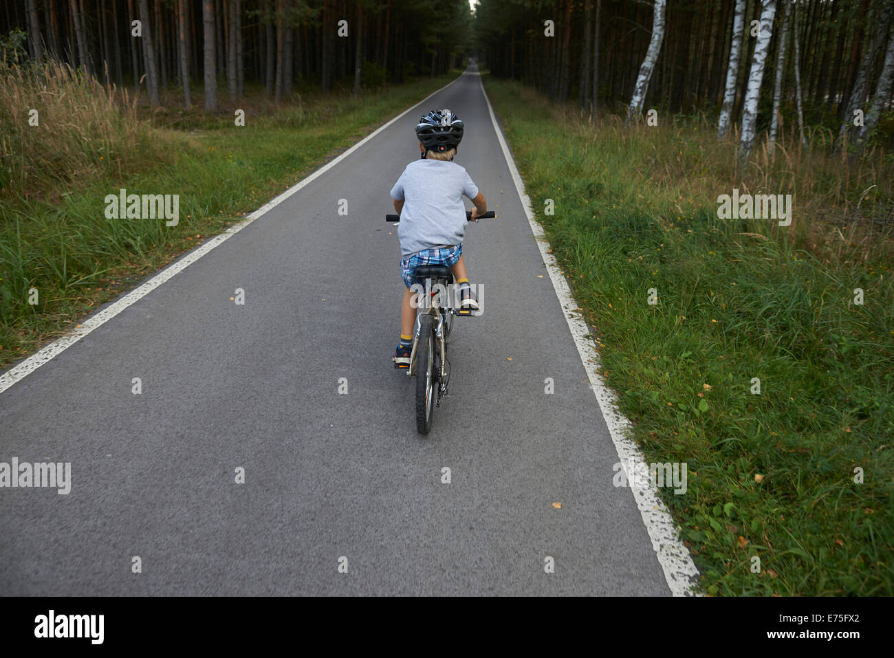 Boy cycling through forest on bicycle path, view from behind Stock ...